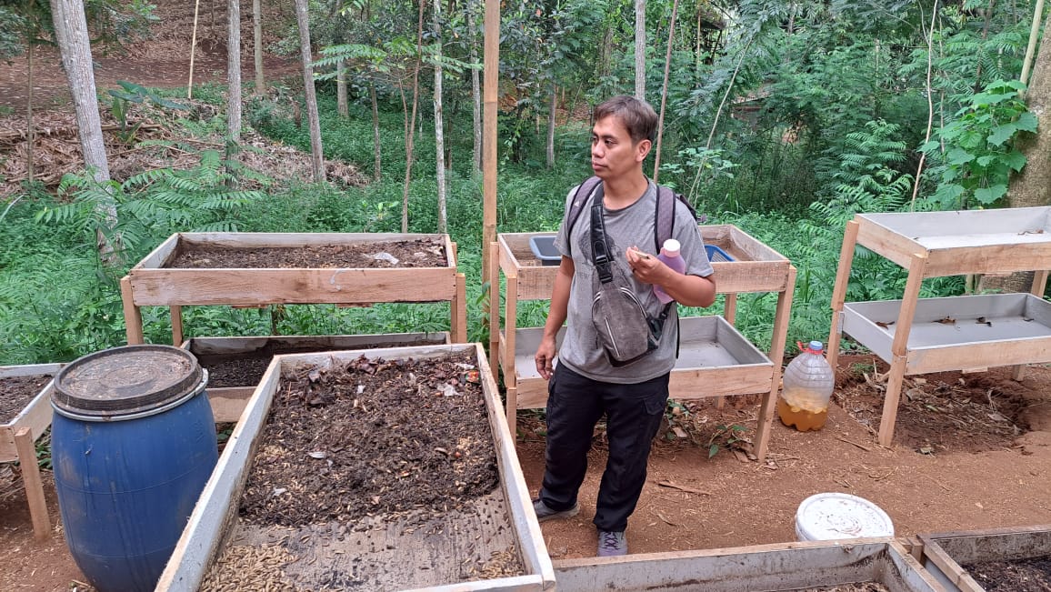 Budidaya Maggot BSF, Solusi Kurangi Sampah Makanan yang Bernilai ...